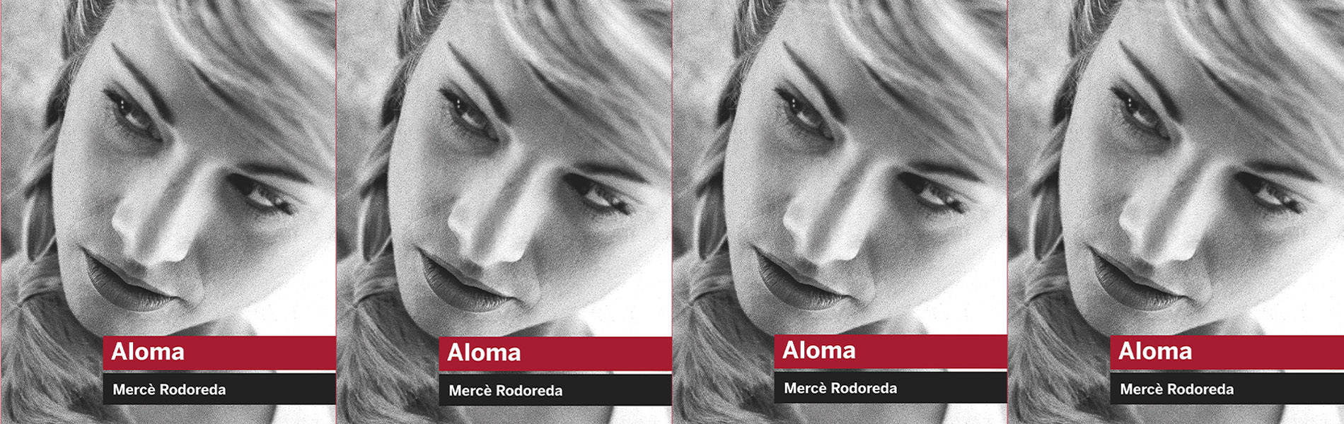 Aloma - Agencia SEO & SEM Estudio34